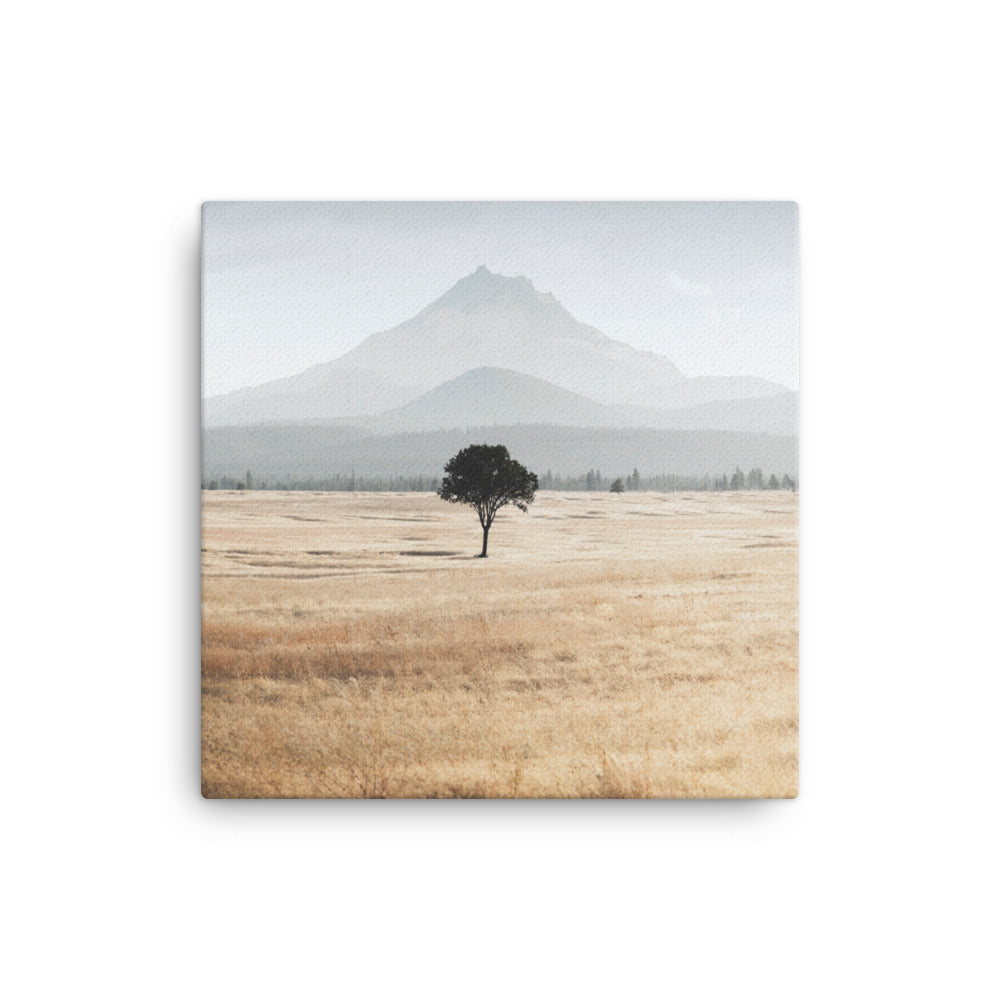 Michael Foushee - Jefferson Tree Print – Goodwynn's